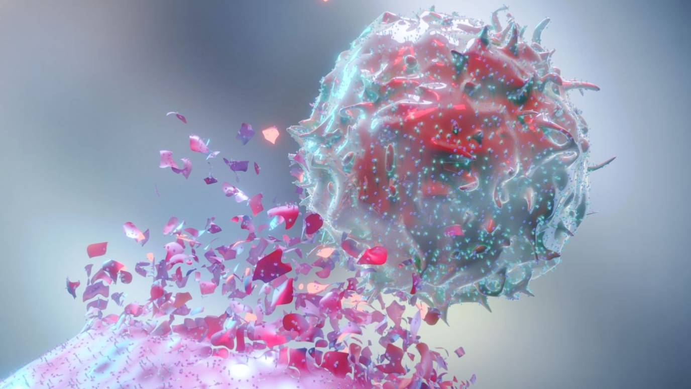 Uncovering the Specialized Immune Cells That Fight COVID-19 - - Prova ...