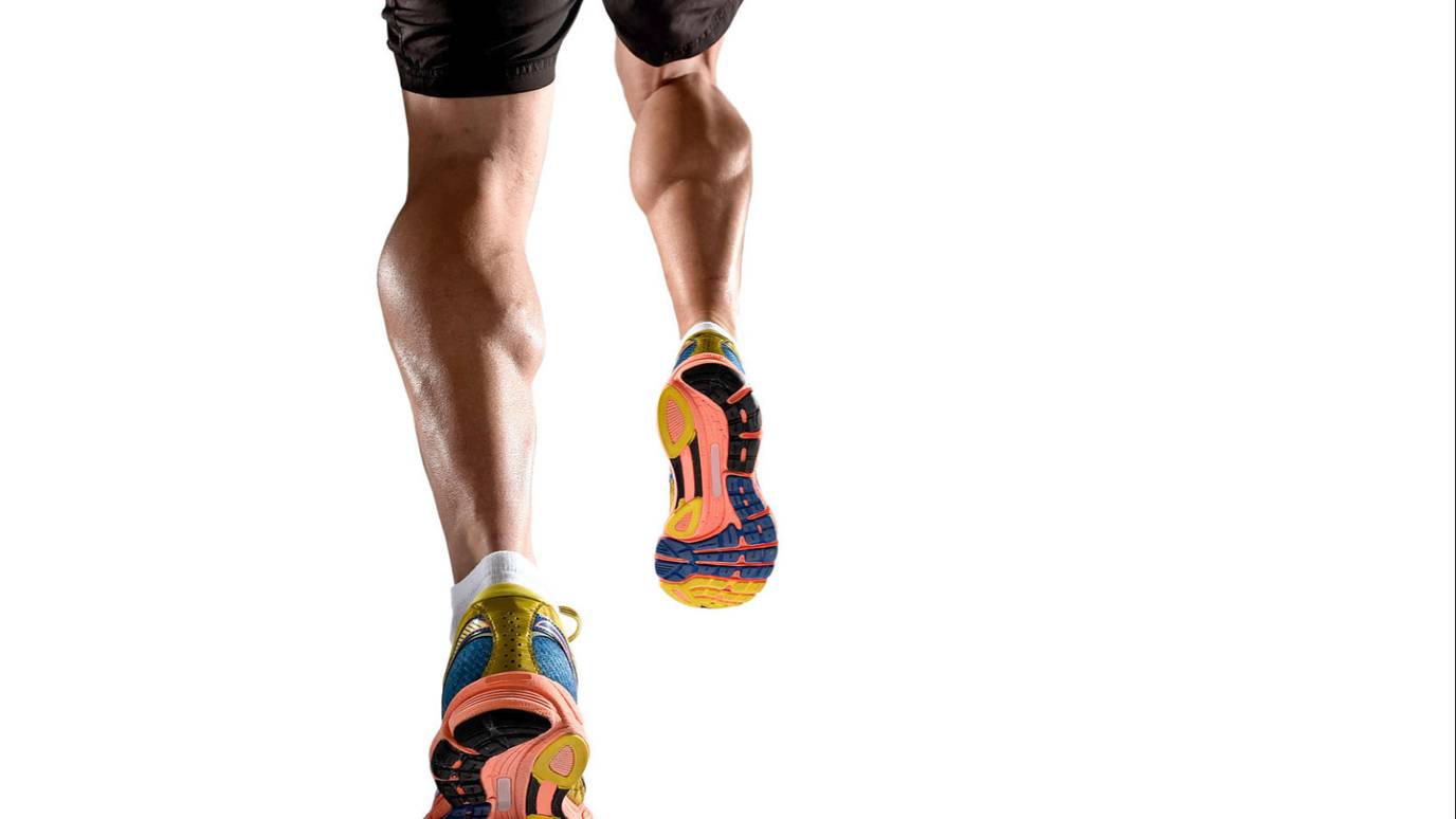 Study Shows Effects of Year-Long Heavy Resistance Training on Vital Leg Strength - - Prova Education