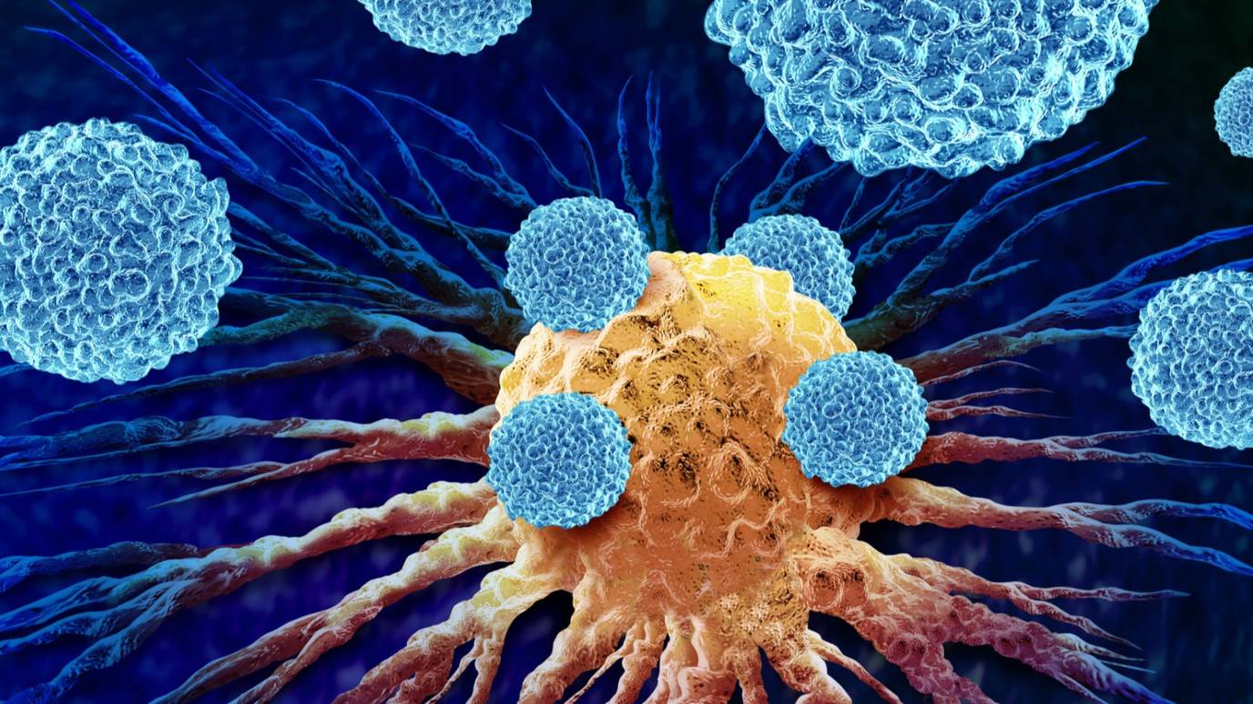 New Cell-Based Immunotherapy Offered for Melanoma - - Prova Education