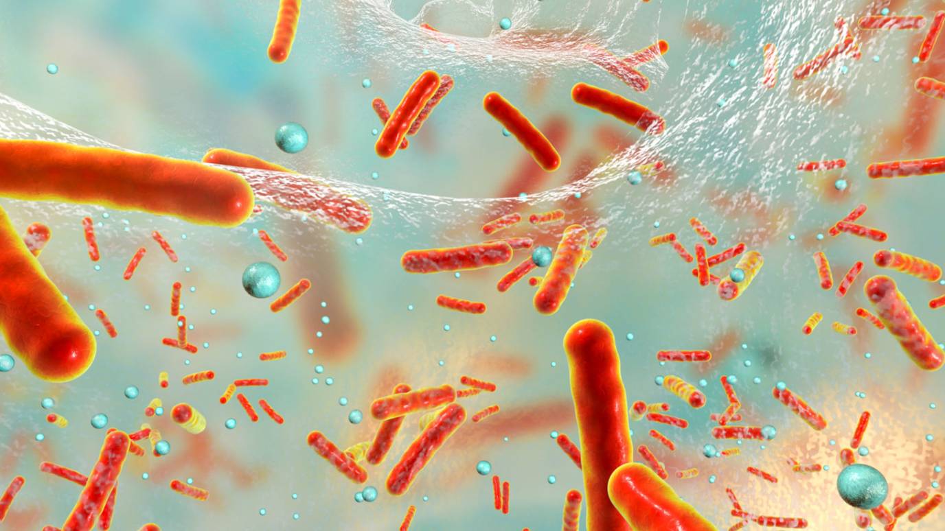 Detecting Pathogens—and Sepsis—Faster and More Accurately by Melting ...