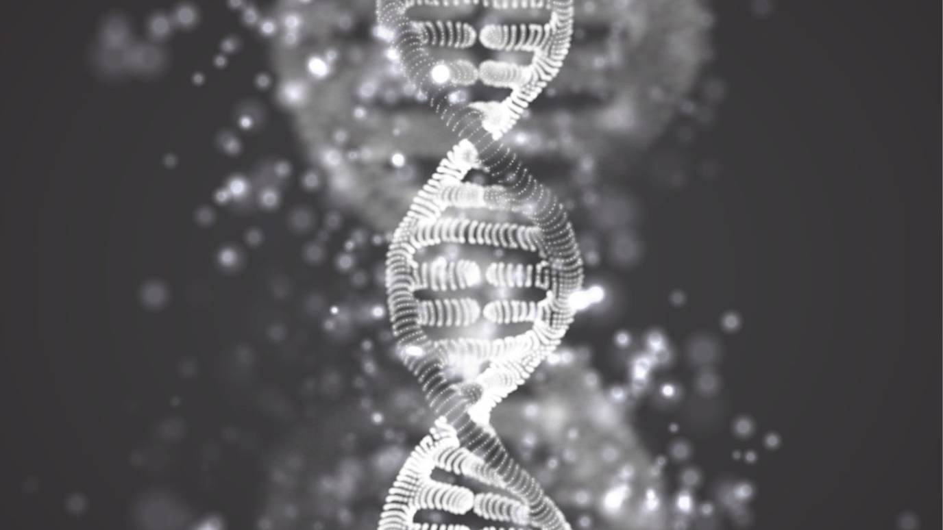 A Deep Dive into the Genetics of Alcohol Consumption - - Prova Education