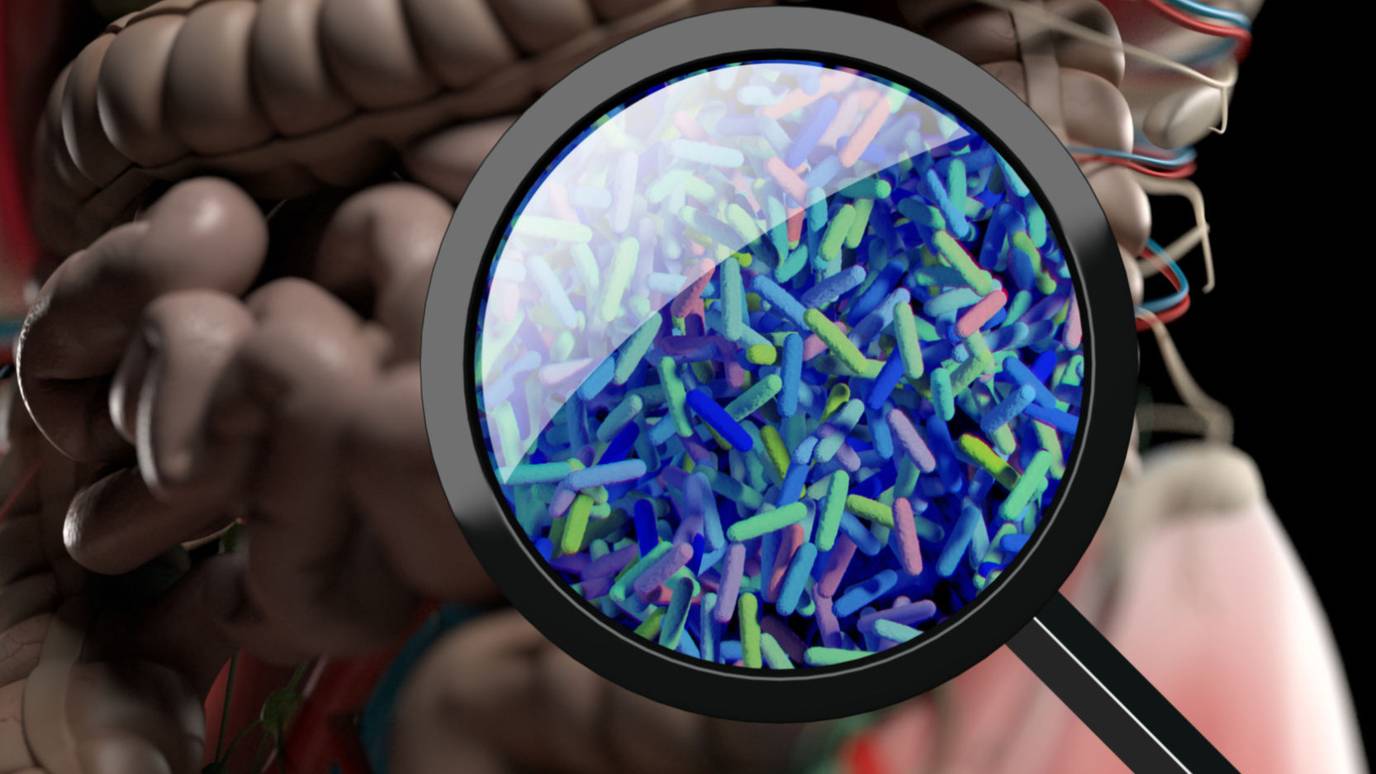 Gut Bacteria Can Process Dietary Fiber into an Anti-Allergy Weapon ...
