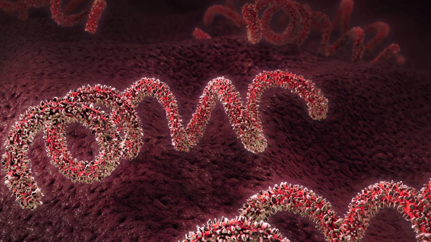 Syphilis Cases Are Rising, But Many People Don’t Know Symptoms ...