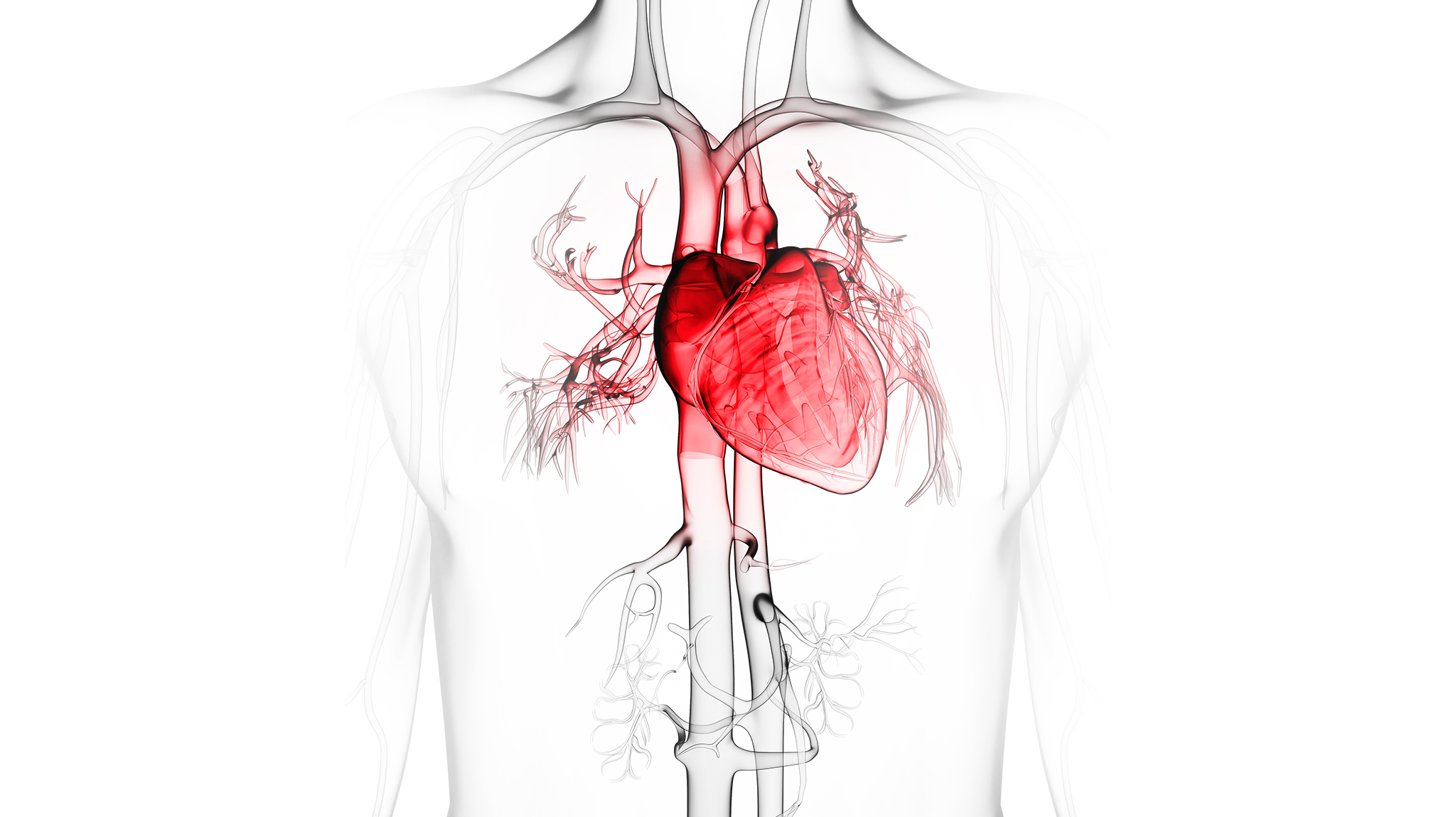 Cardiology Continuing Medical Education