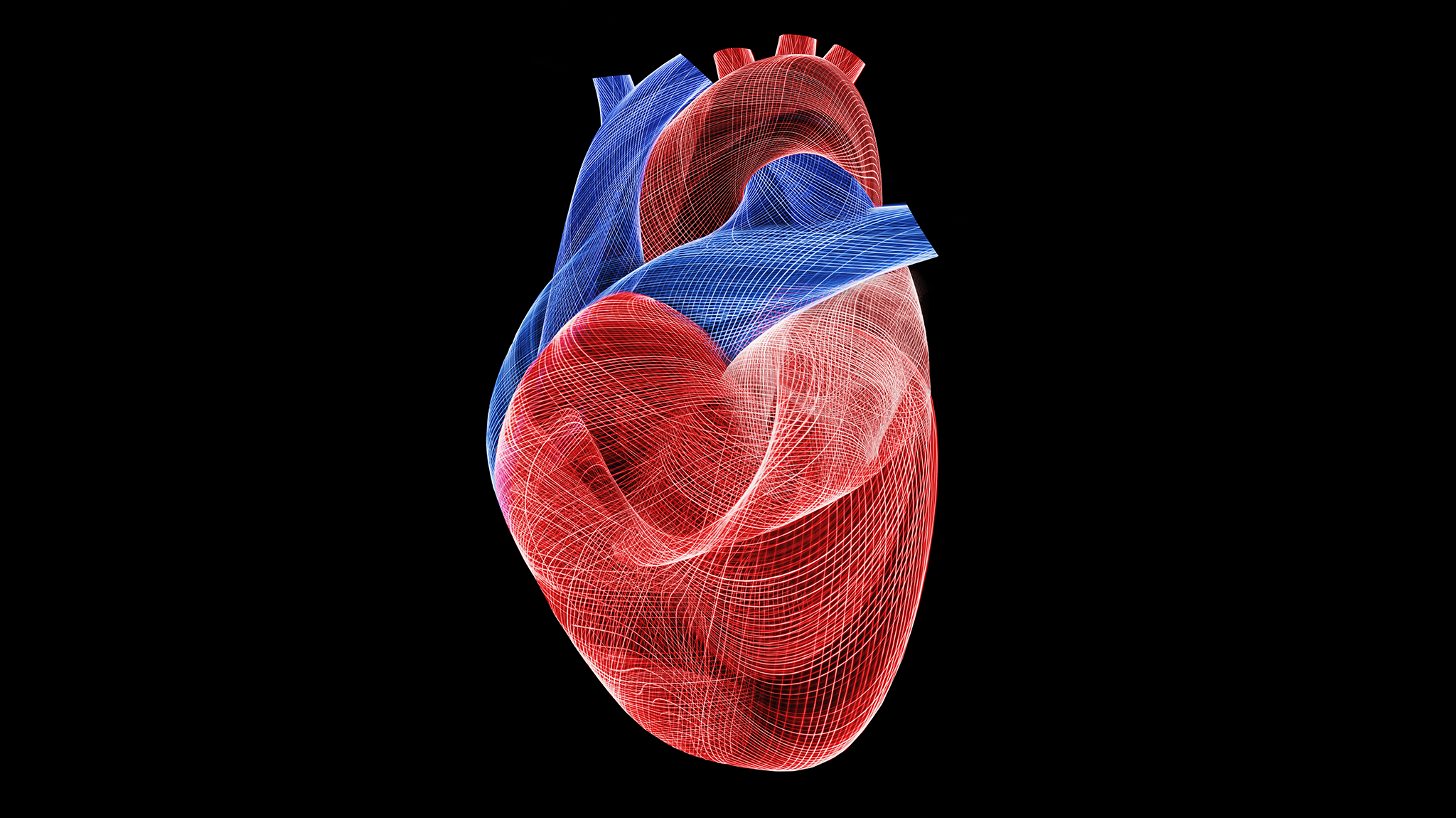 Cardiology - Prova Education