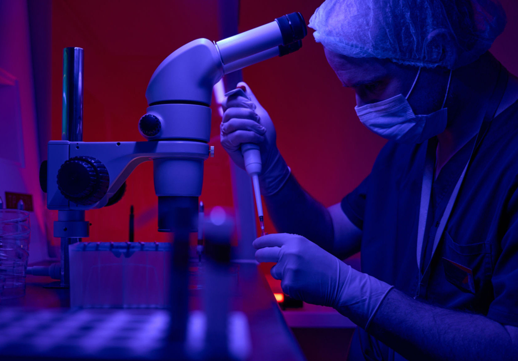 Noninvasive Test for Embryo Quality Could Streamline Fertility ...