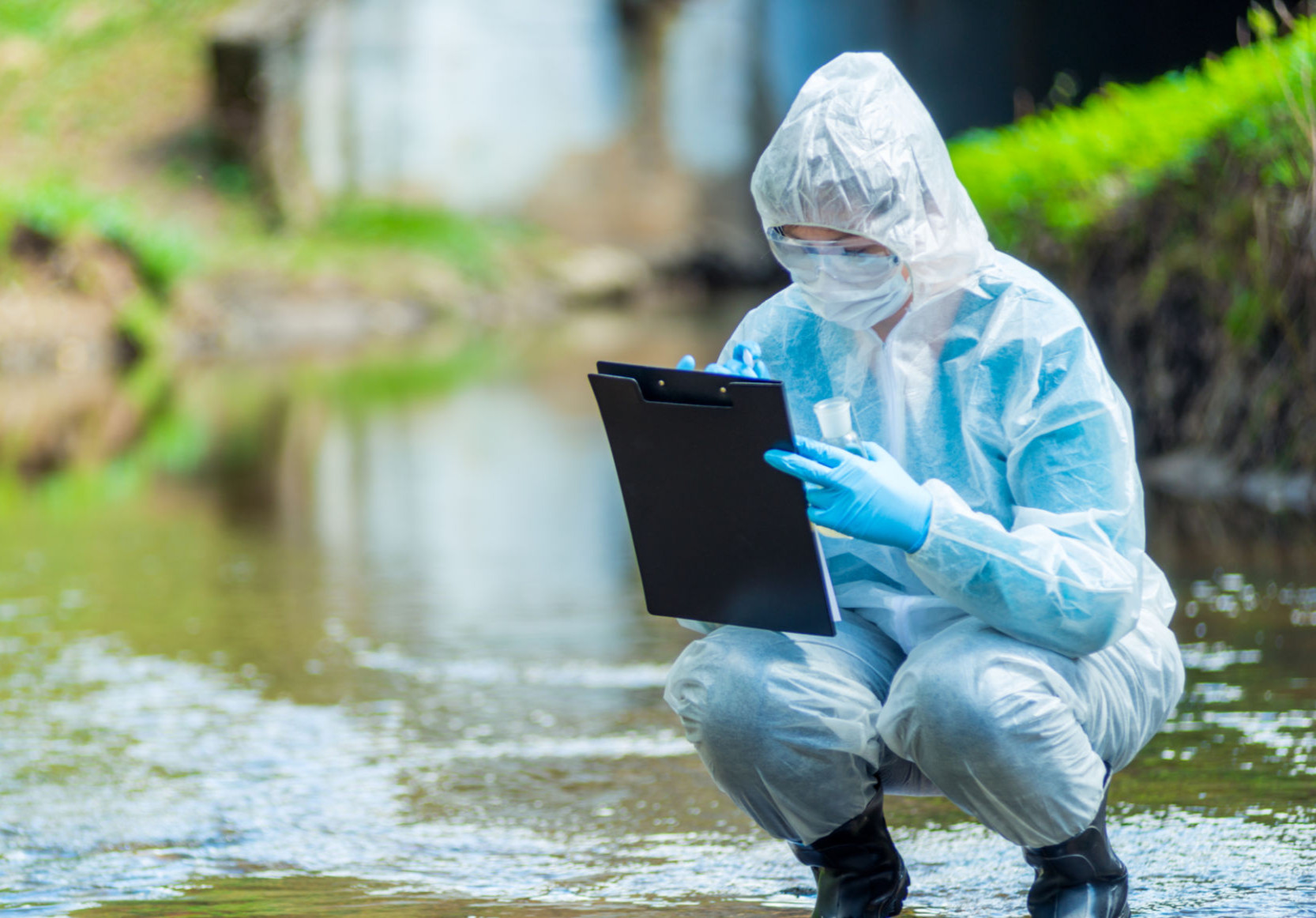 Are Environmental Toxins Putting Future Generations at Risk? - - Prova ...