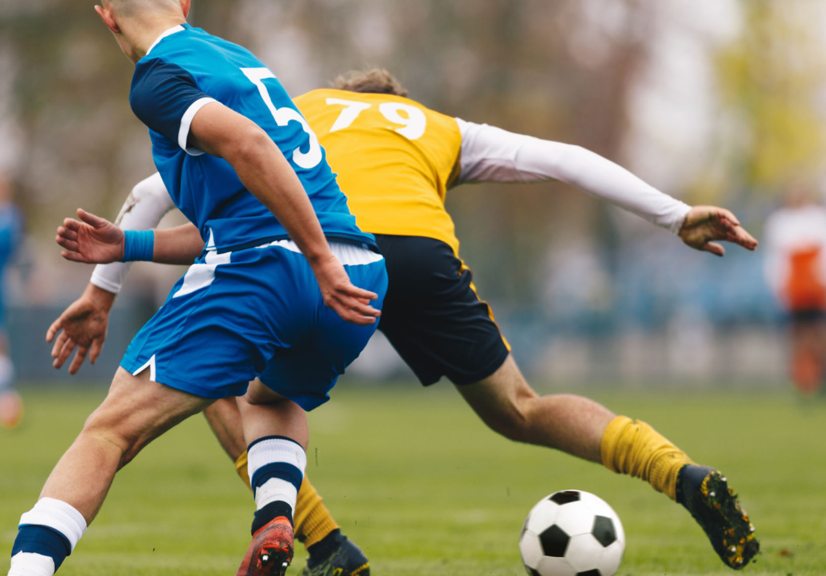 New Study Analyzes Link Between Digit Ratio and Oxygen Consumption in ...