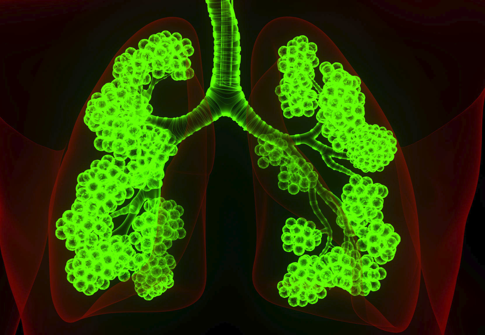 Study Reveals Potential to Reverse Lung Fibrosis Using the Body’s Own ...