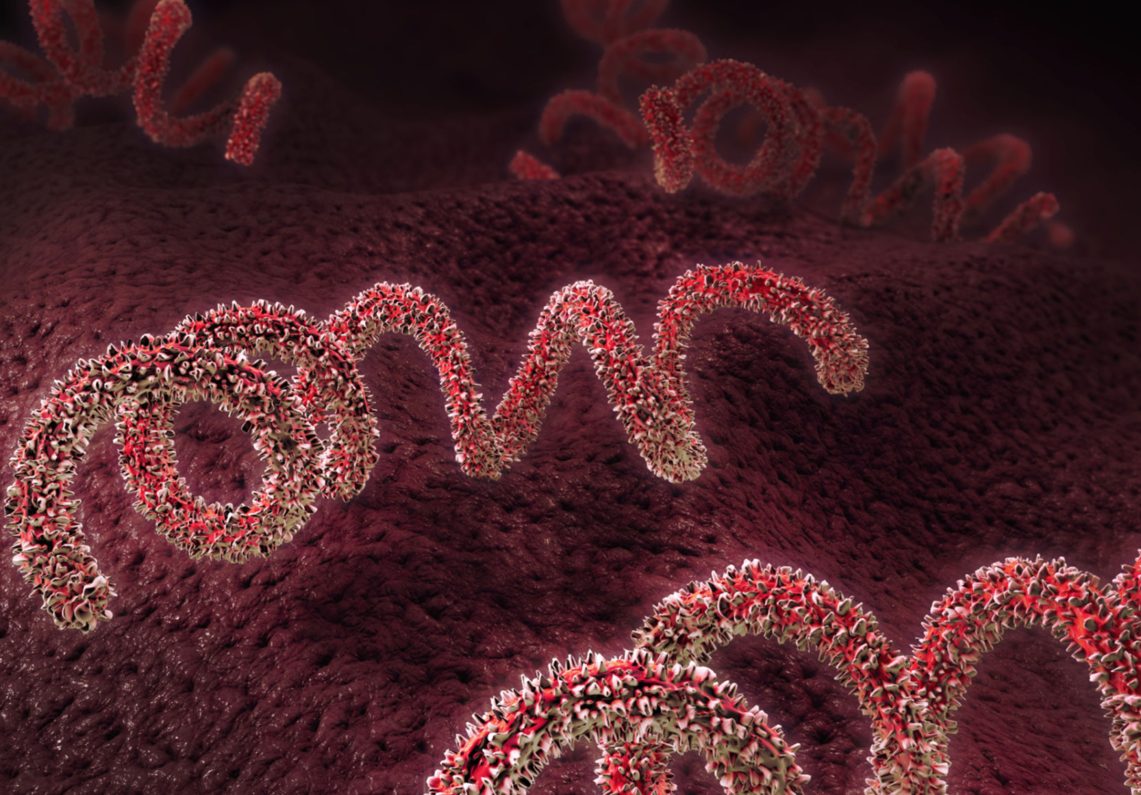 Syphilis Cases Are Rising, But Many People Don’t Know Symptoms ...