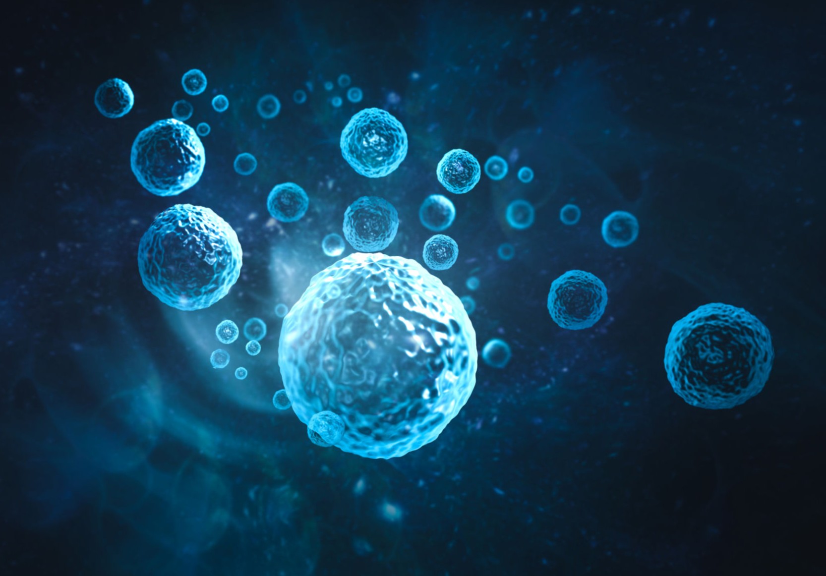 Nf κb Pathway Found Crucial For X Chromosome Inactivation In Female T